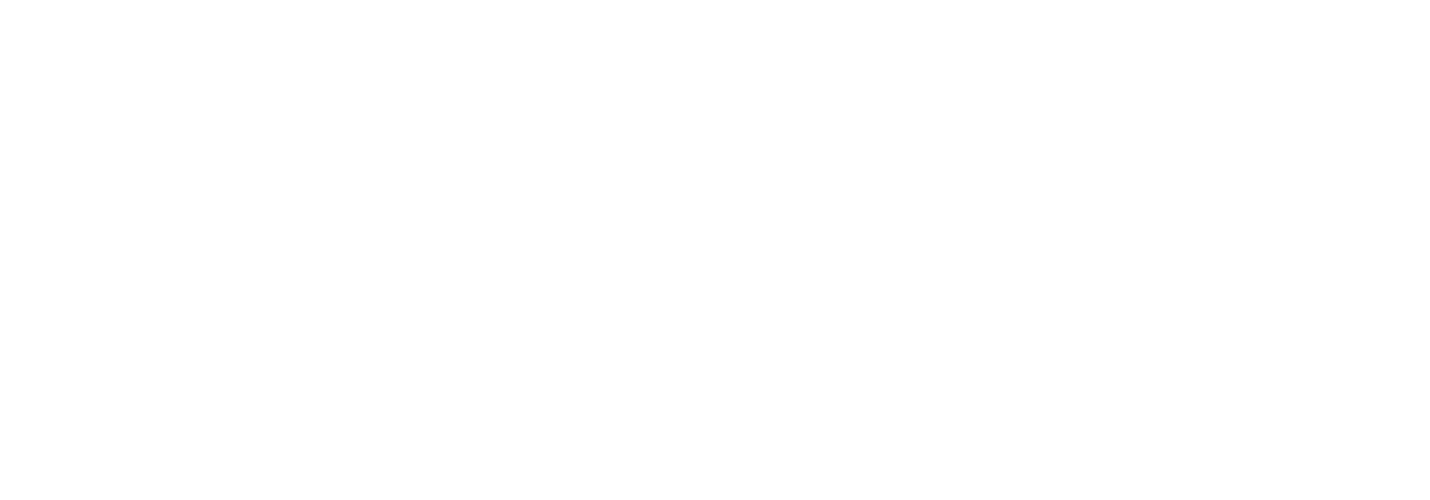 Minnesota CAMH User Story - PHII